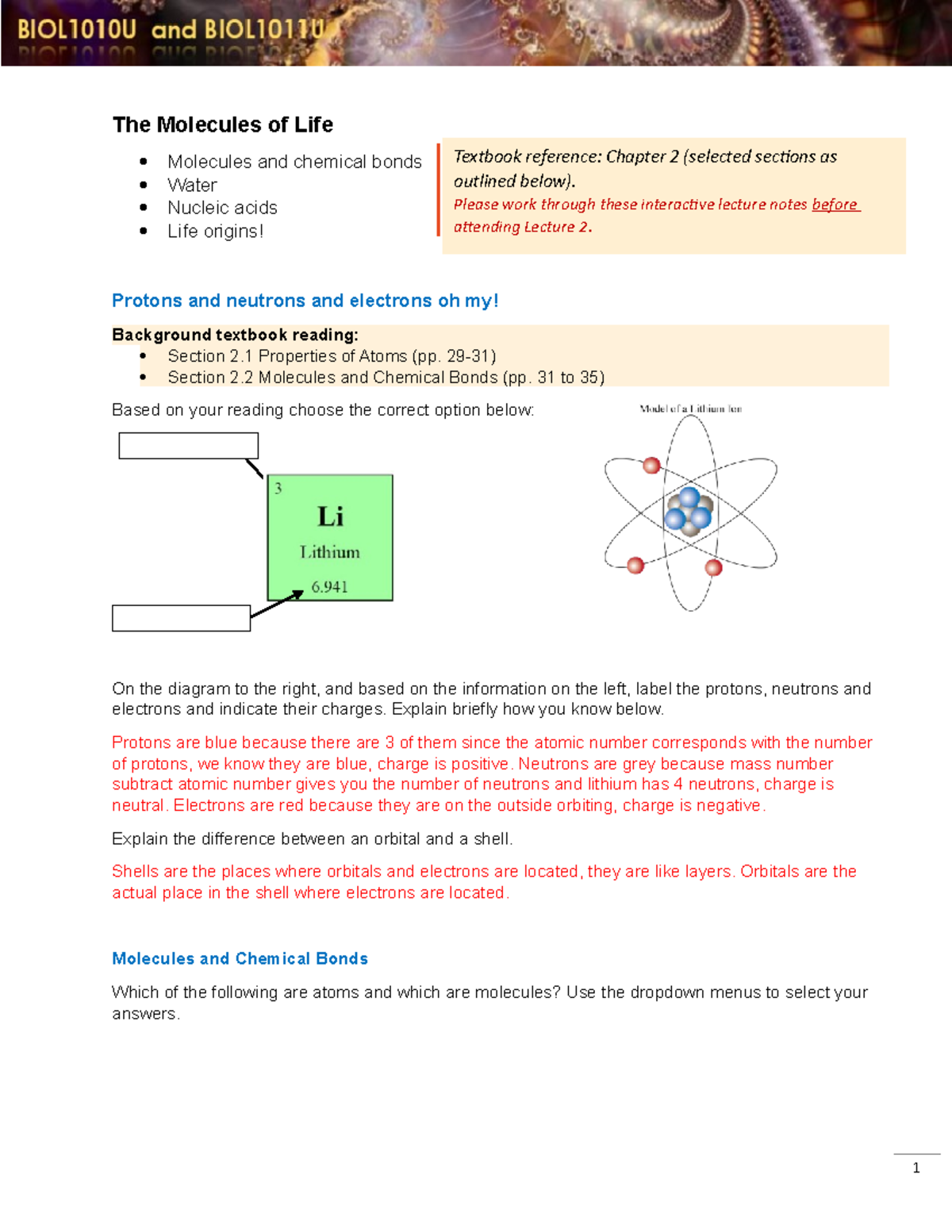 1. Molecules of Life interactive notes 2022 - The Molecules of Life ...