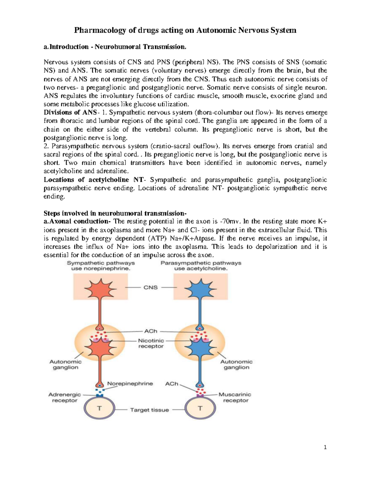 ANS - Pharmacology notes - Pharmacology of drugs acting on Autonomic ...