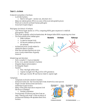 Topic 9 - Genetics - Unit notes - Topic 9 – Genetics Microbial genetics ...