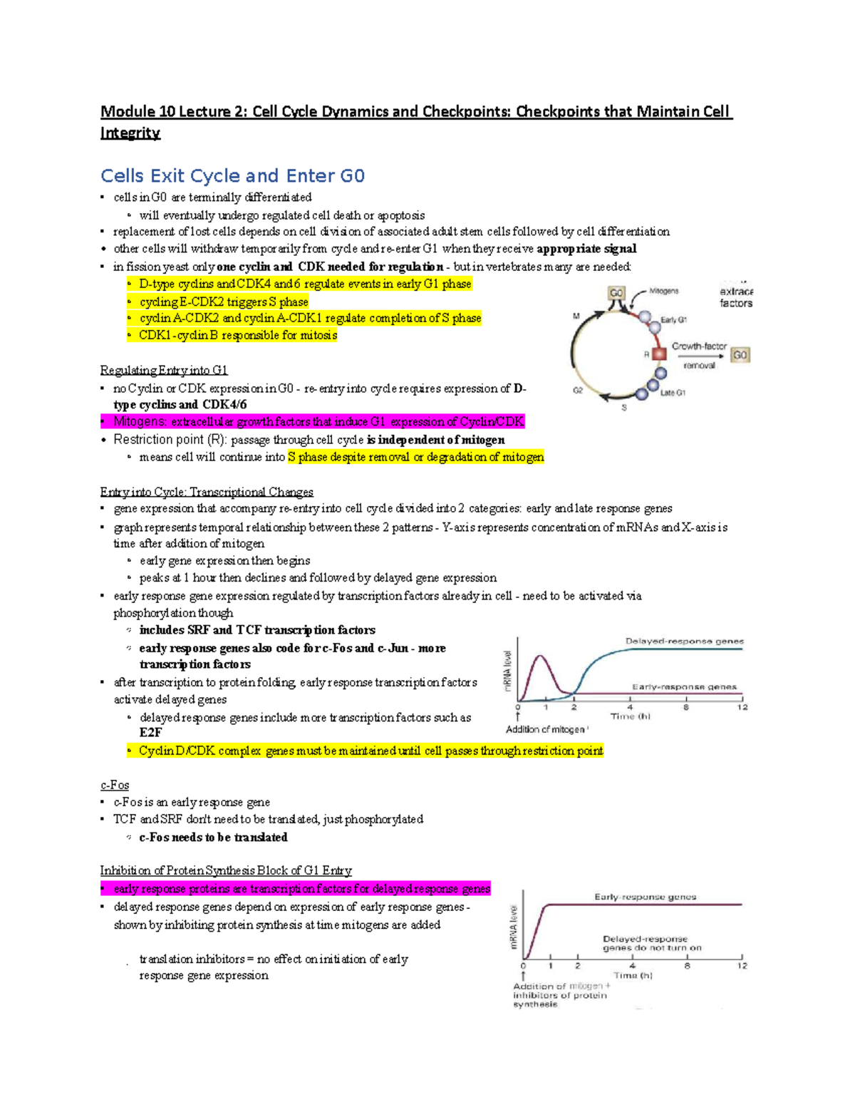 Module 10 Lecture 2 - Module 10 Lecture 2: Cell Cycle Dynamics and Checkpoints: Checkpoints th ...