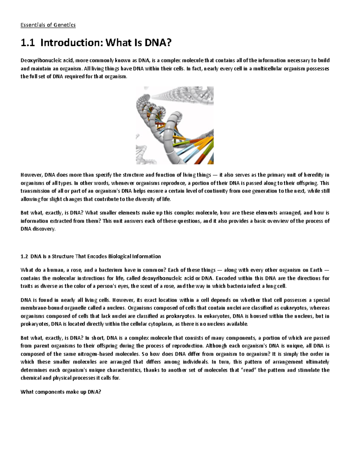 Introduction What is DNA DNA and its organization - Essentials of ...