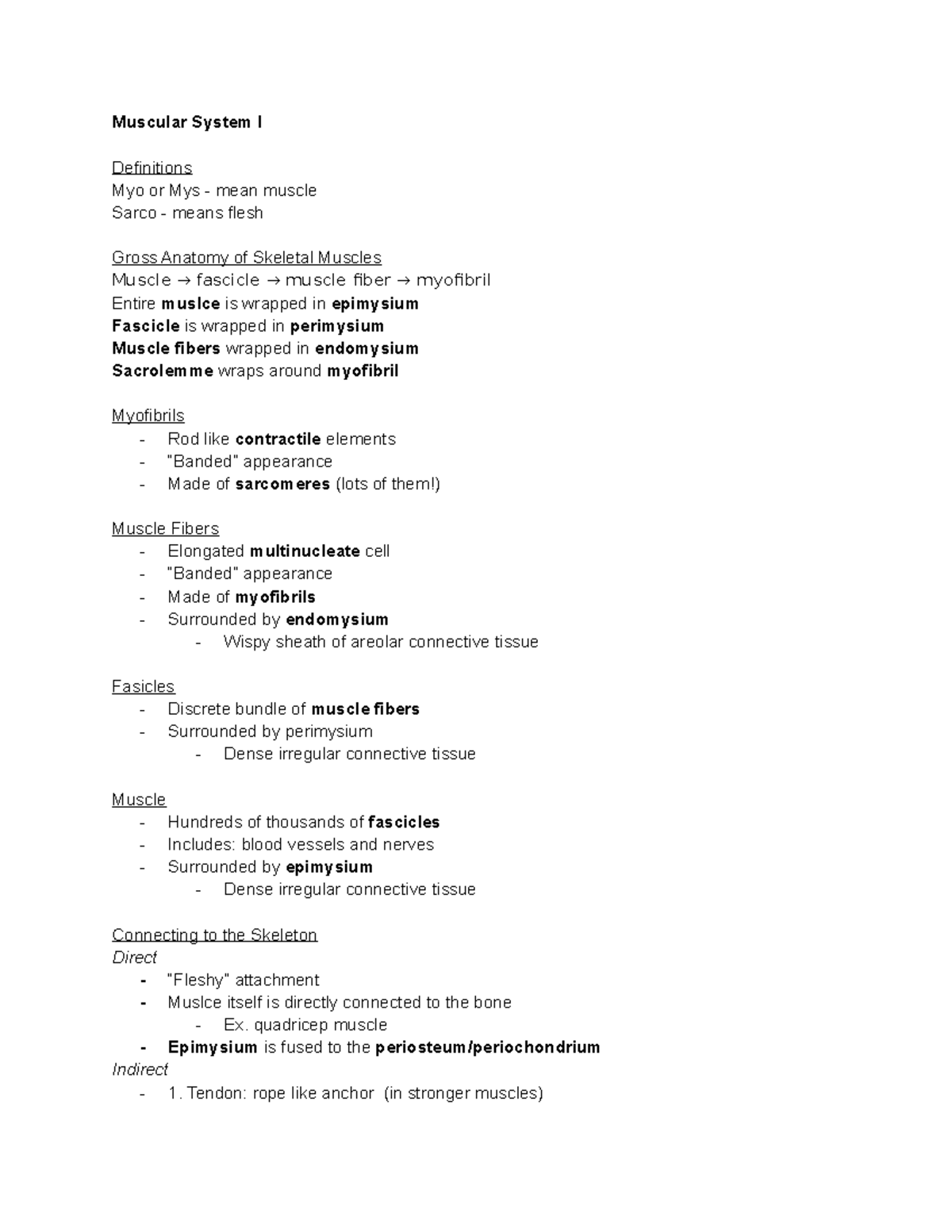 Muscular System I - Muscular System I Definitions Myo or Mys - mean ...