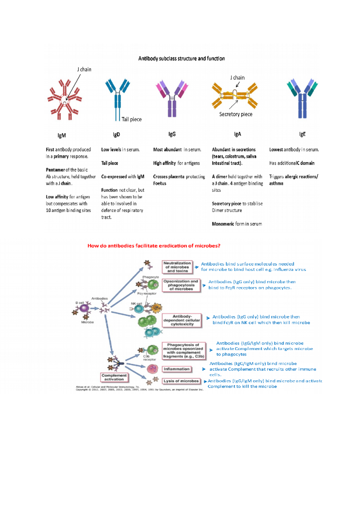 Immunology - NOTES FOR I&I -> UNIVERSITY OF YORK, - BIO00018C - Studocu