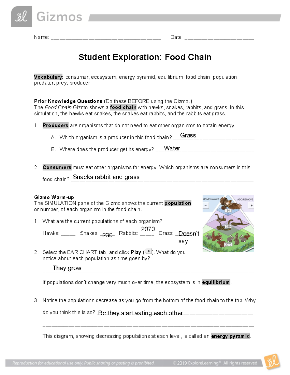 Food Chain Gizmo - Essential Cell Biology - Name ...