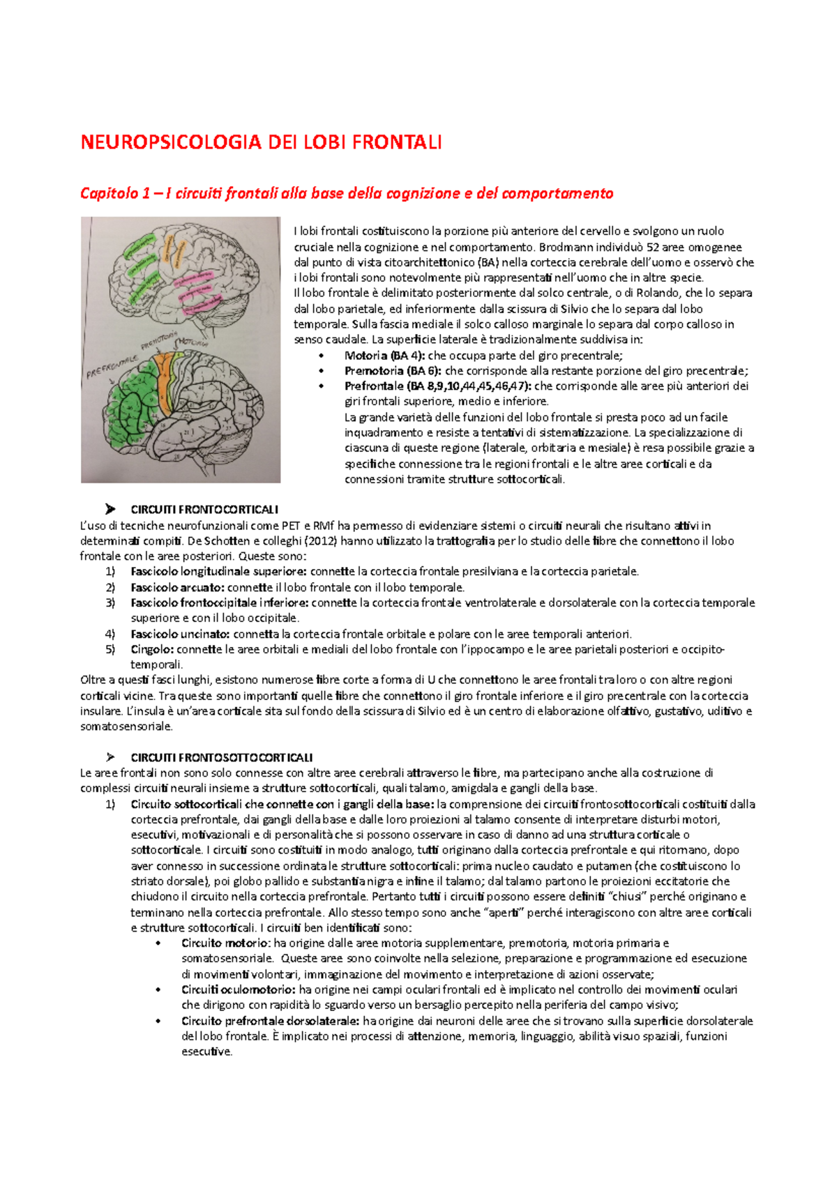 Neuropsicologia DEI LOBI Frontali - NEUROPSICOLOGIA DEI LOBI FRONTALI ...