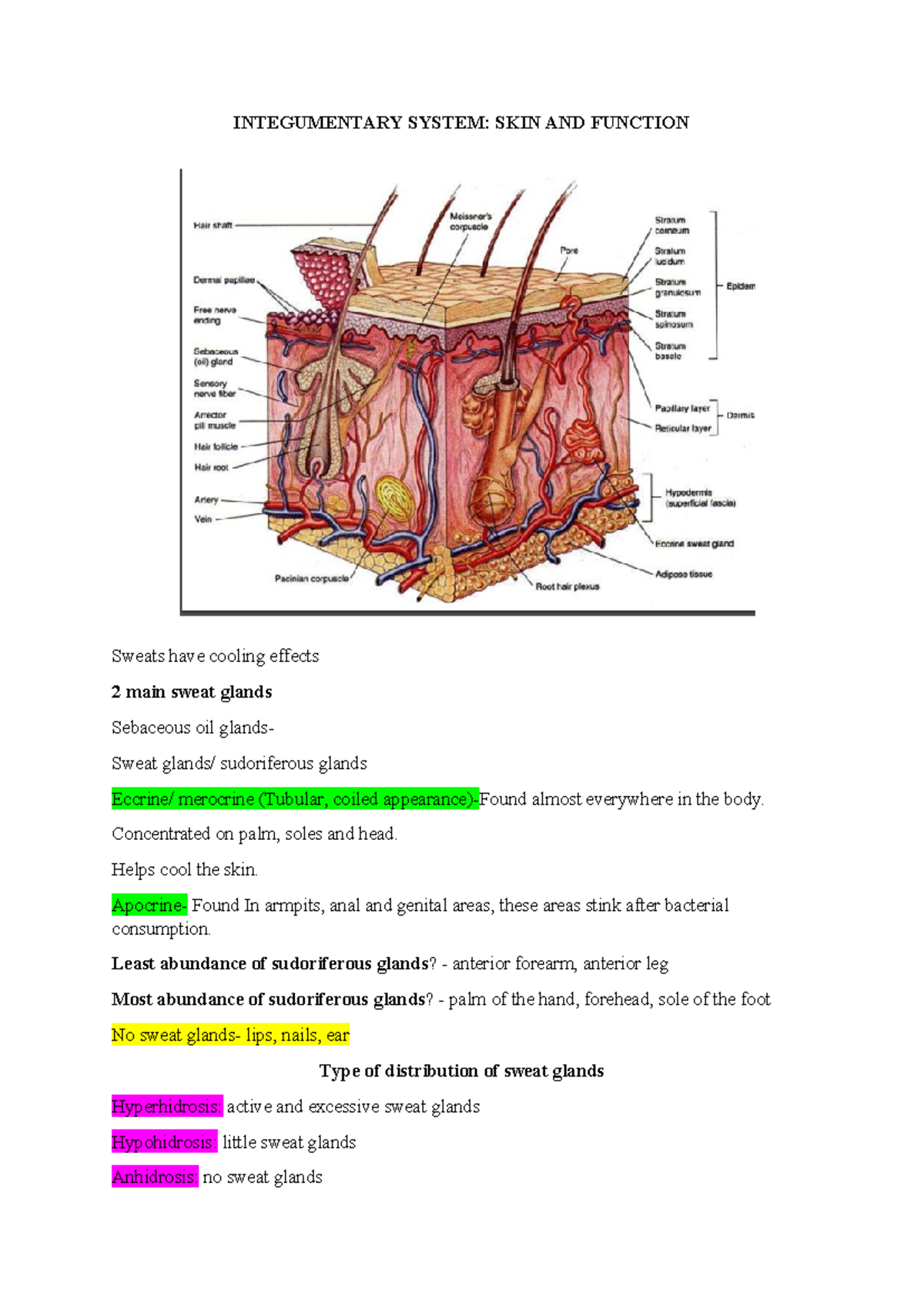 HAP LAB reviewer (Autosaved) - INTEGUMENTARY SYSTEM: SKIN AND FUNCTION ...