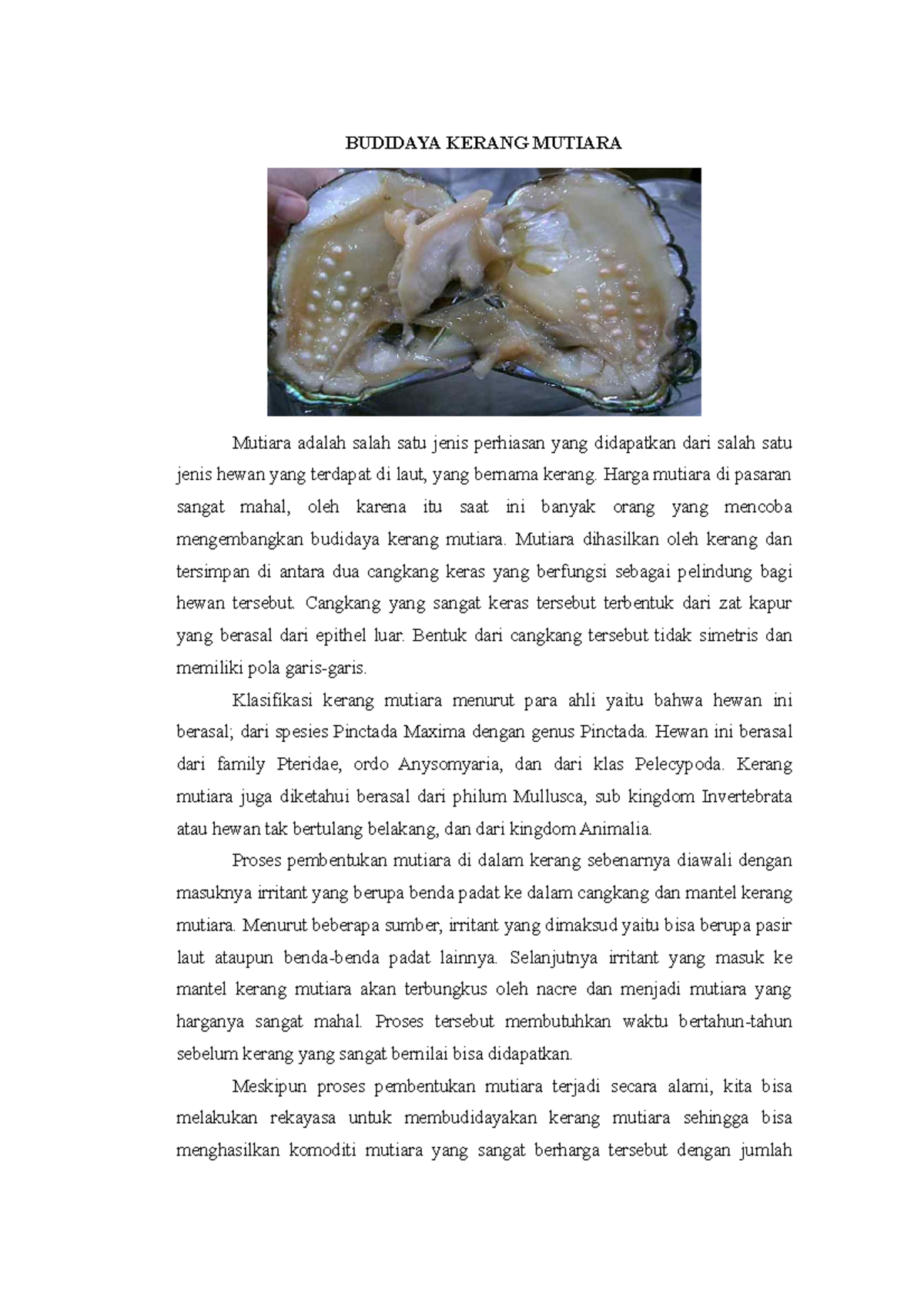 Budidaya Kerang Mutiara - BUDIDAYA KERANG MUTIARA Mutiara adalah salah ...