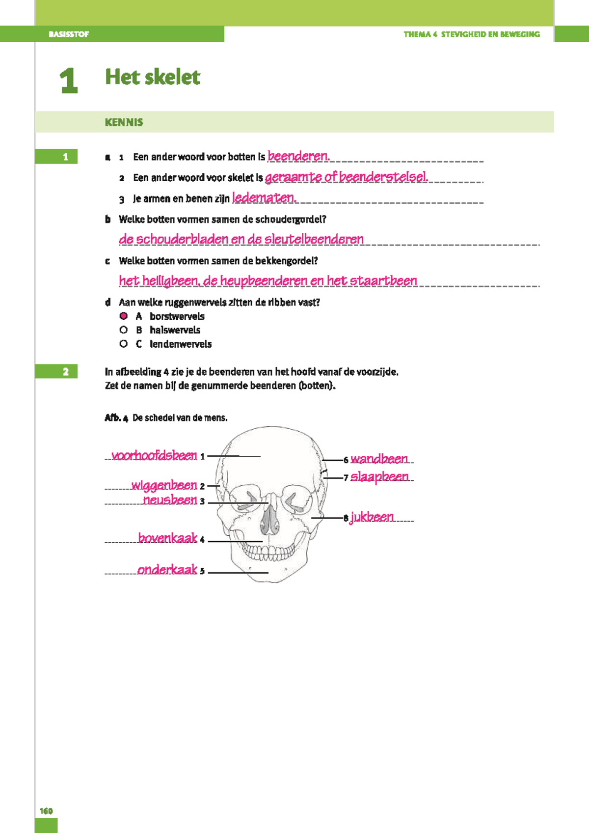 Uitwerkingen BS1 - Antwoorden Biologie voor Jou klas 1 vwo - Studeersnel