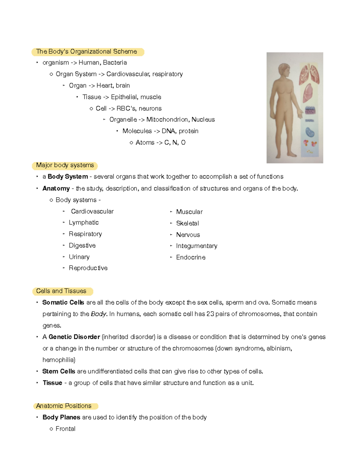 Chapter 3 Organization of the body - The Body's Organizational Scheme ...