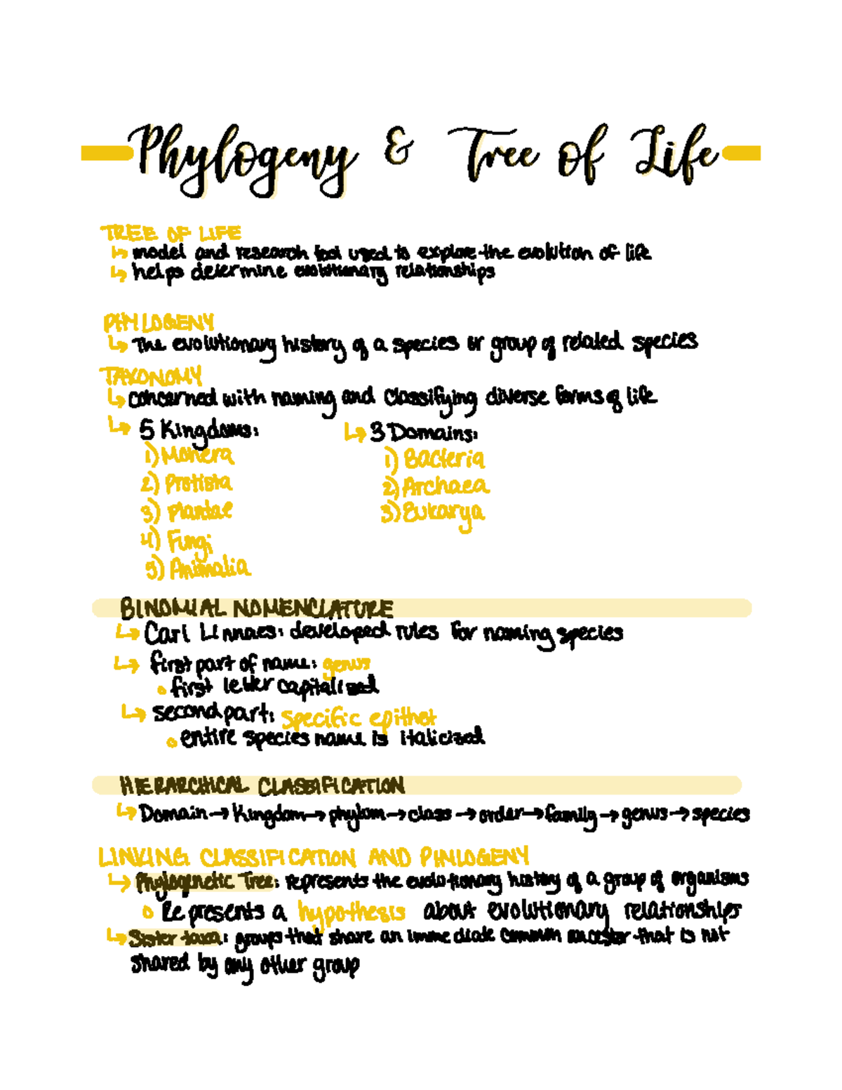 Lecture 8 Phylogeny & Tree of Life - Phylogeny & Tree of Life TREE OF ...