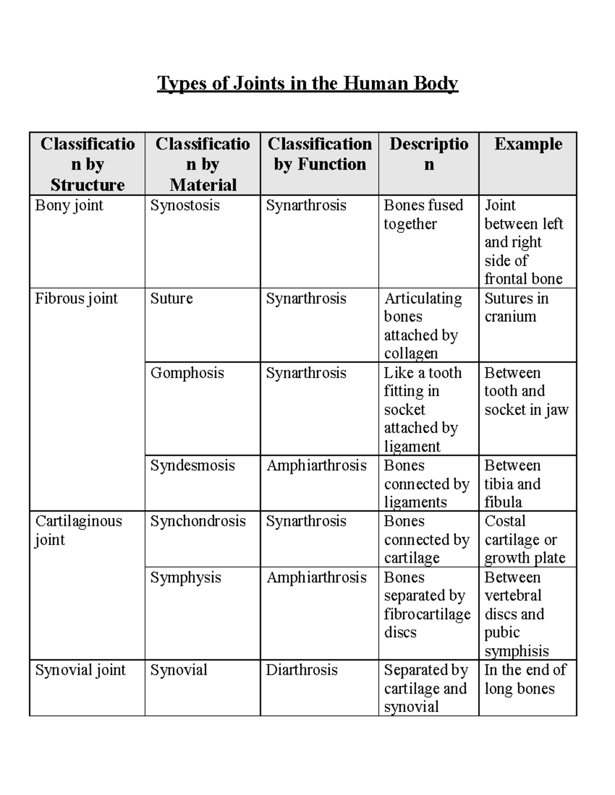 Types of Joints in the Human Body - Types of Joints in the Human Body ...