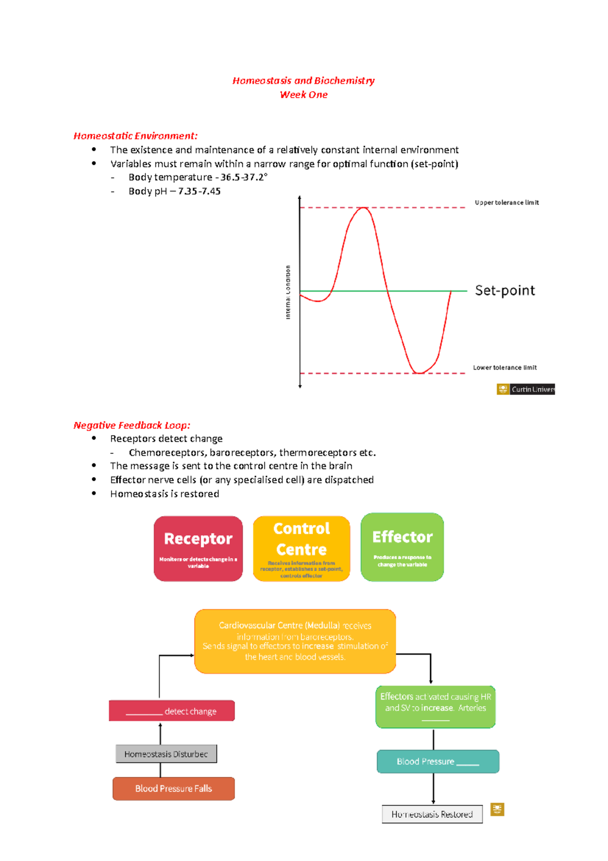 Ex Phys EXAM Notes - Homeostasis and Biochemistry Week One Homeostatic ...