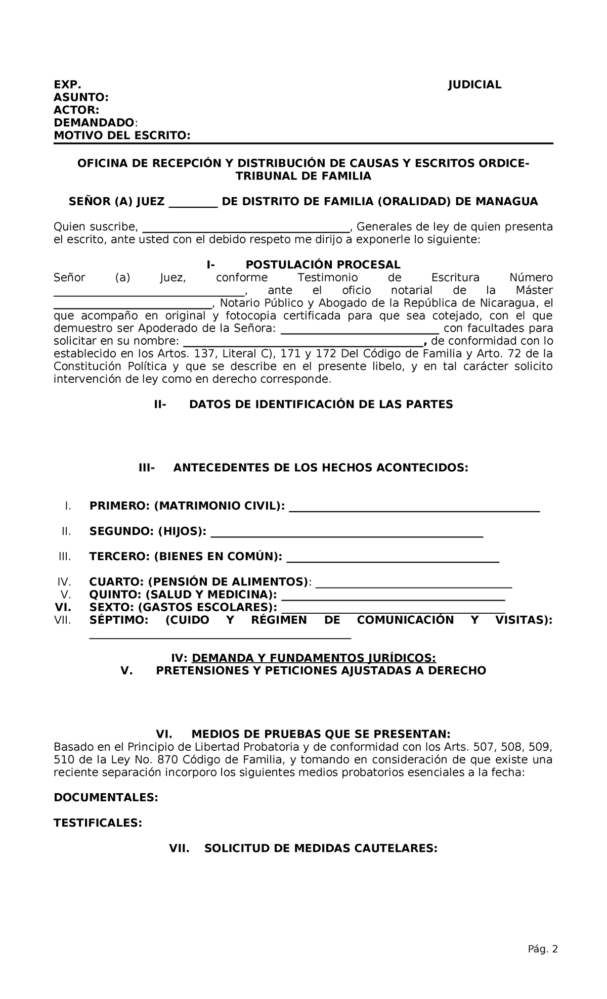 Formato DE Demanda - Sucinta descripcion de la materia en procesal fam ...