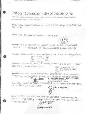 Micro Chapter 8 - BIOL 2117 - Studocu