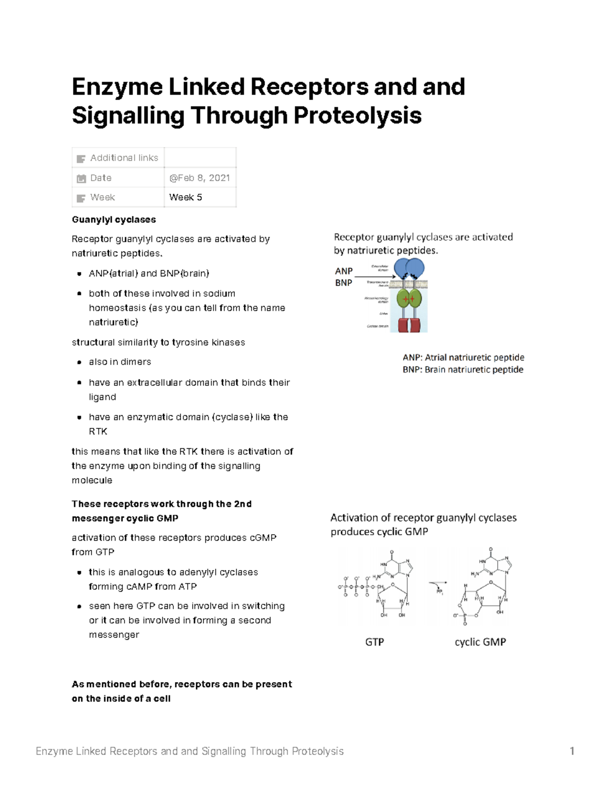 Enzyme Linked Receptors and and Signalling Through Proteolysis - Enzyme ...
