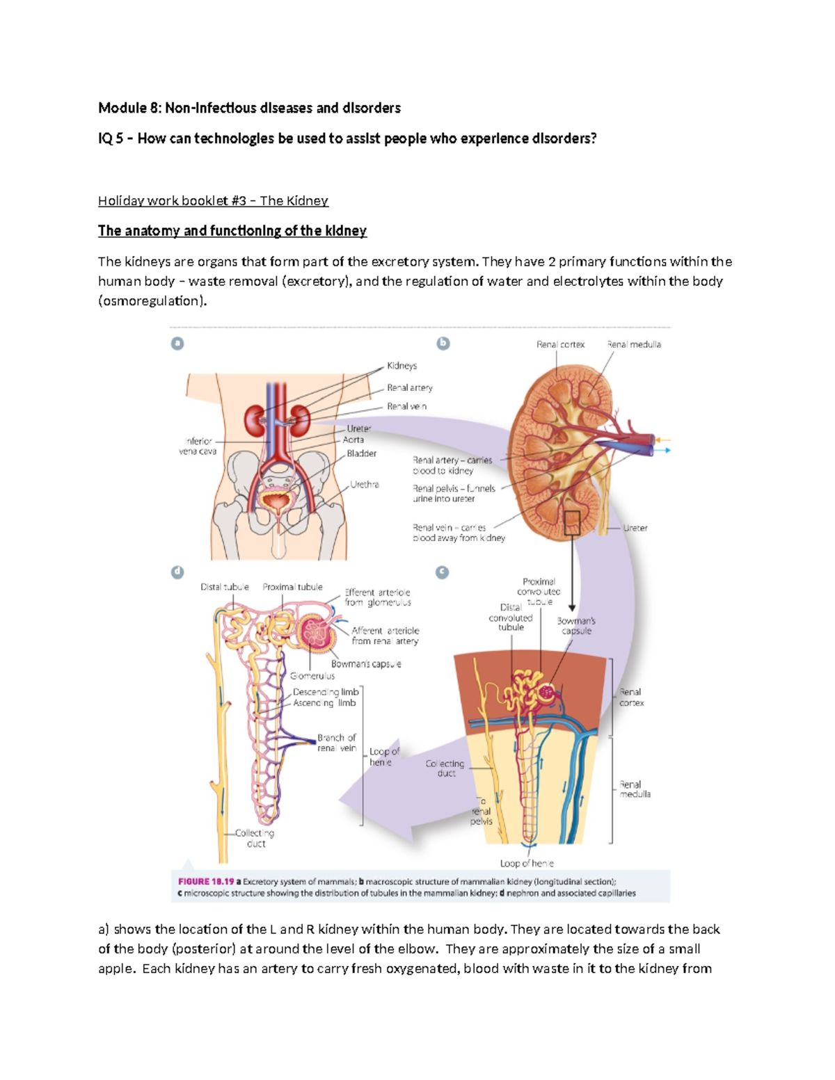 Module 8 IQ 5 - Kidney - Module 8: Non-infectious diseases and ...