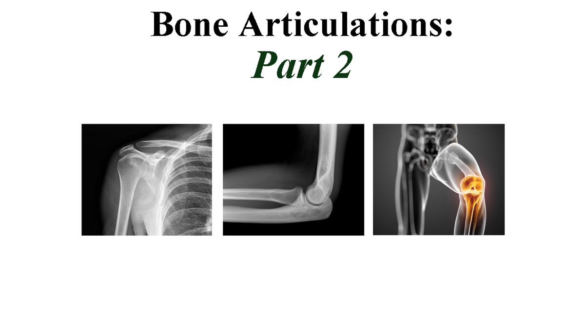 Bone Articulations part 2 - Bone Articulations: Part 2 Sample Question ...