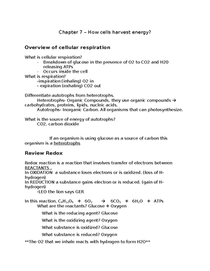 Chapter 11- Sexual Reproduction and Meiosis - BIOL 1406 - Studocu