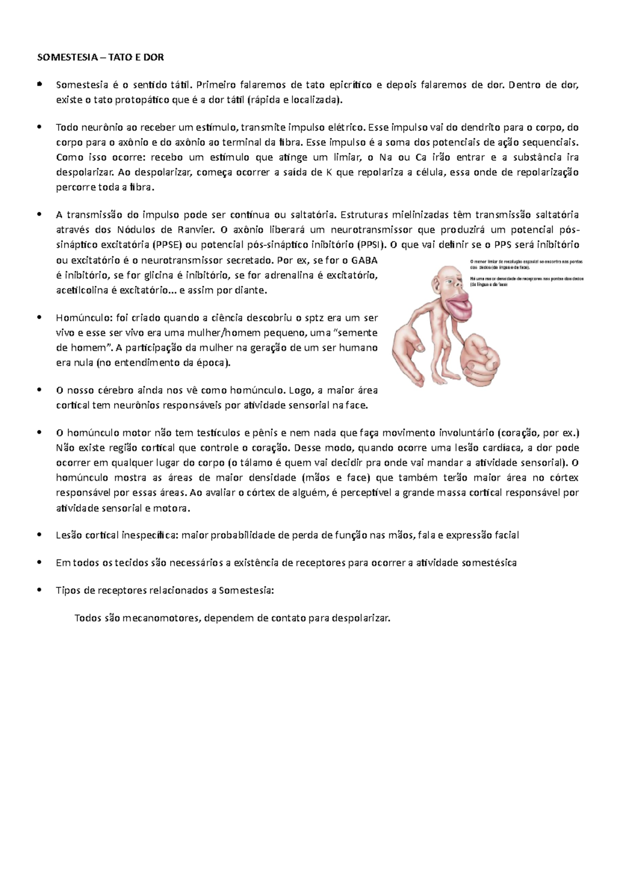 TATO E DOR - Resumo sobre tato e dor humana - SOMESTESIA – TATO E DOR ...