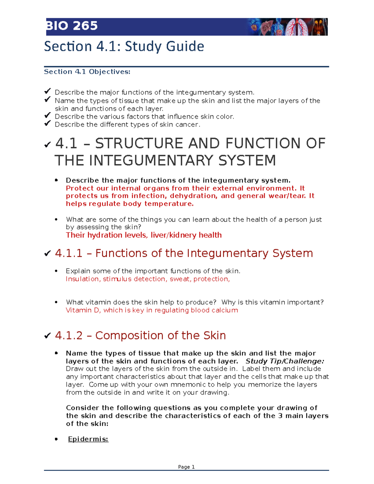 Integumentary System - Section 4: Study Guide Section 4 Objectives: Describe the major functions ...