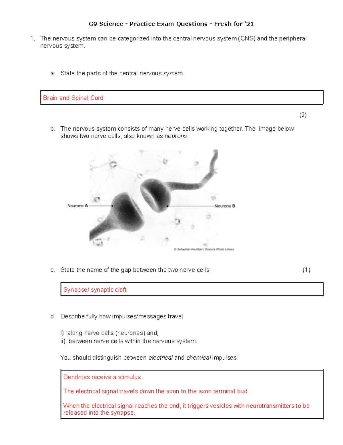 G9 Science Practice Exam (Key) - G9 Science - Practice Exam Questions ...