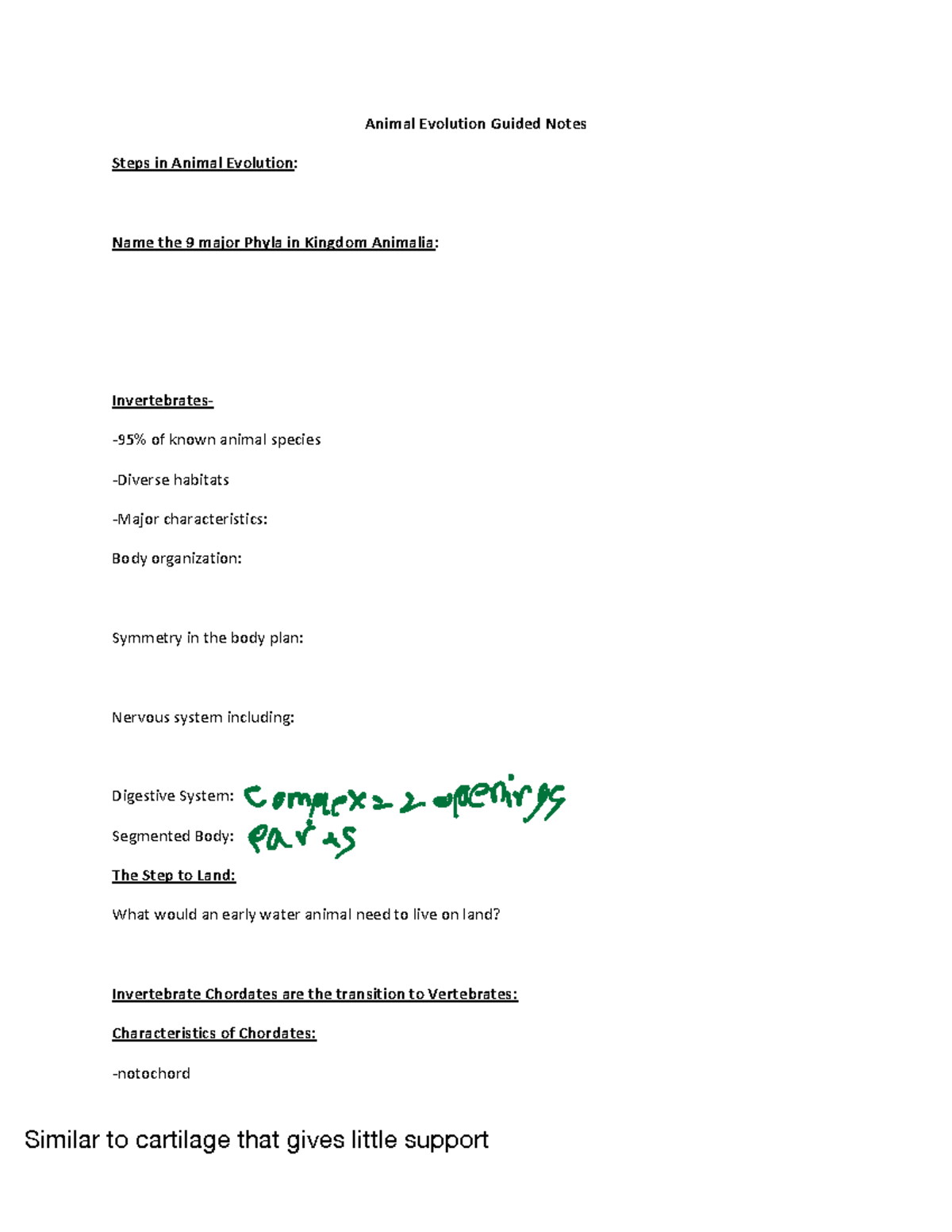 Animal Evolution Guided Notes - Studocu
