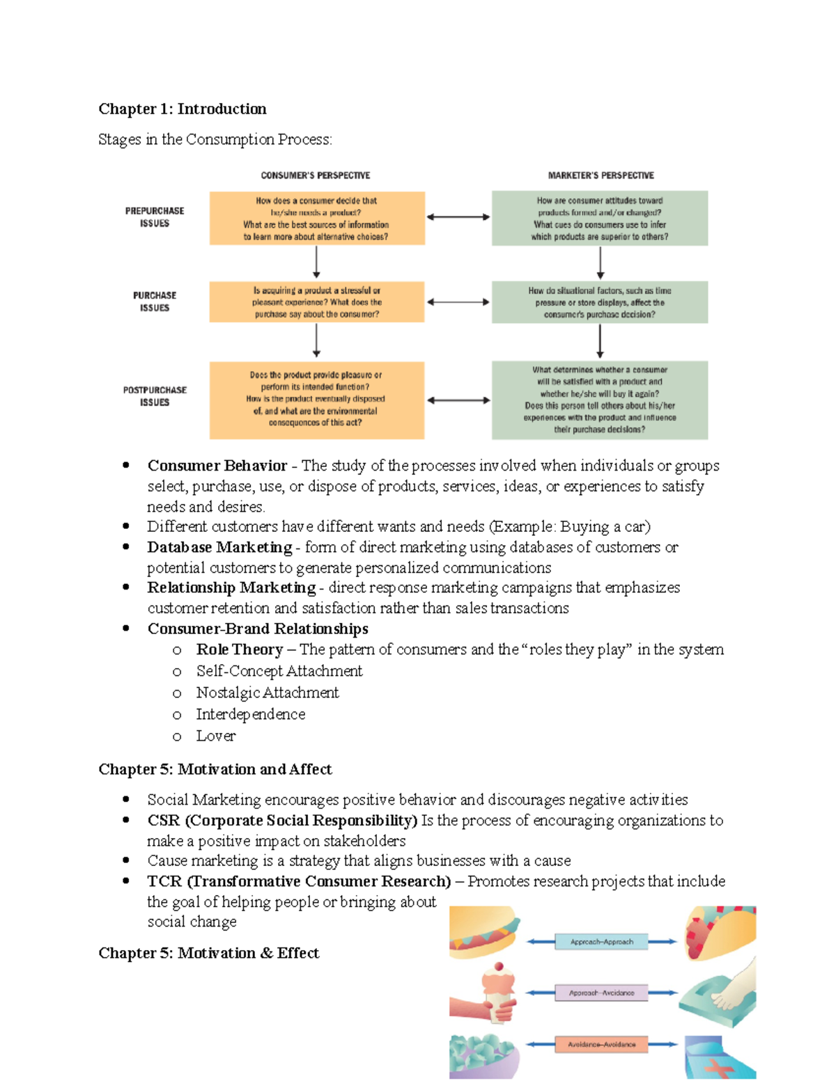Notes - Chapter 1: Introduction Stages in the Consumption Process ...