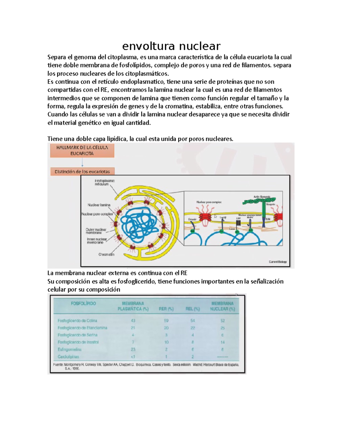 Envoltura nuclear - Apuntes primer semestre - envoltura nuclear Separa ...