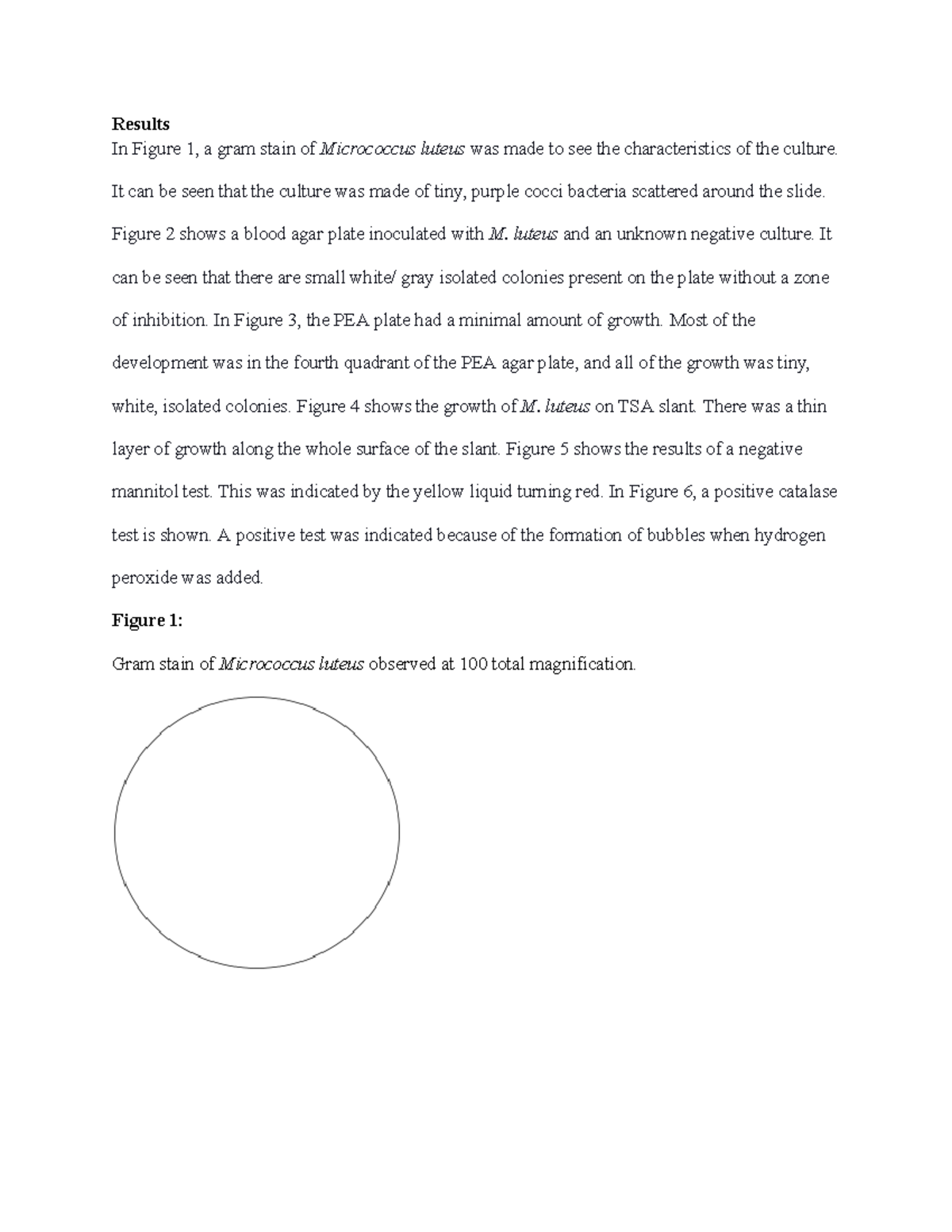 Positive unknown report- micro bio - Results In Figure 1, a gram stain ...