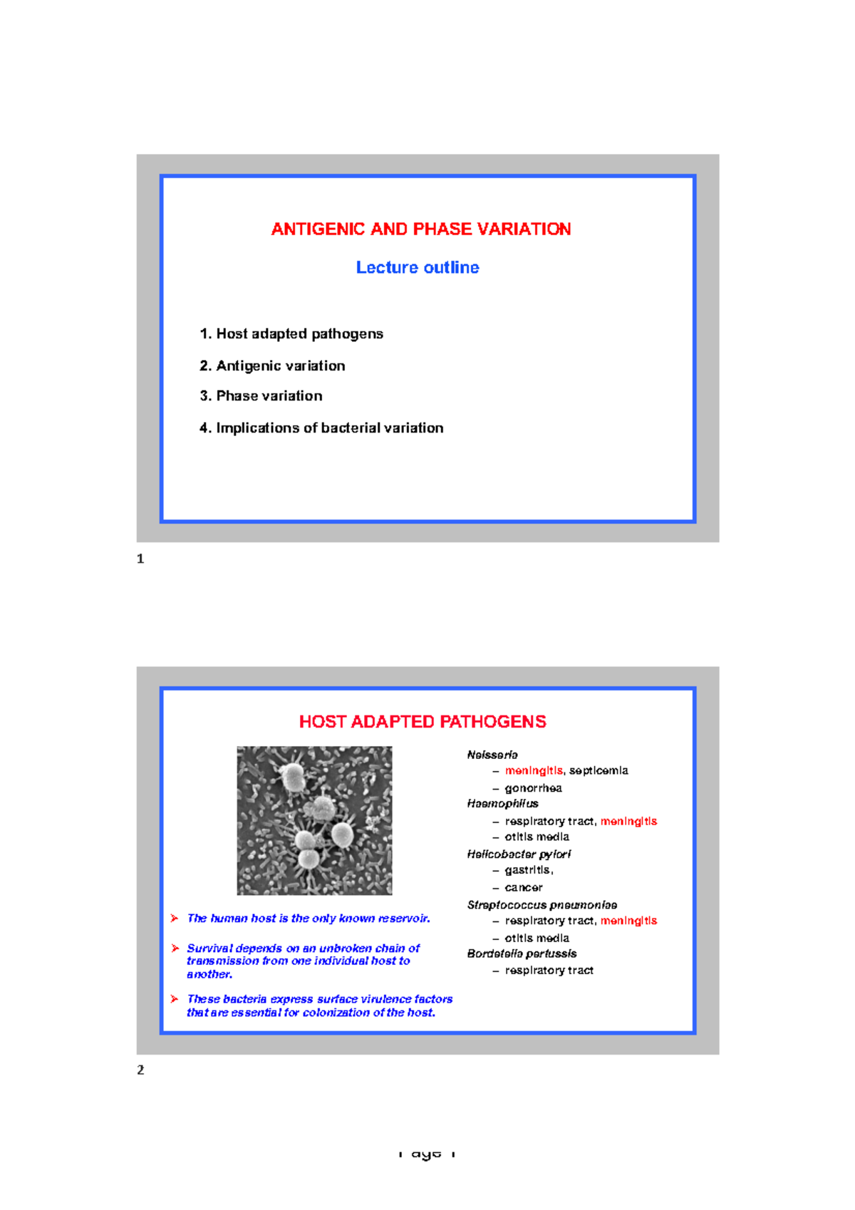 M1L8 Antigenic and phase variation - ANTIGENIC AND PHASE VARIATION ...