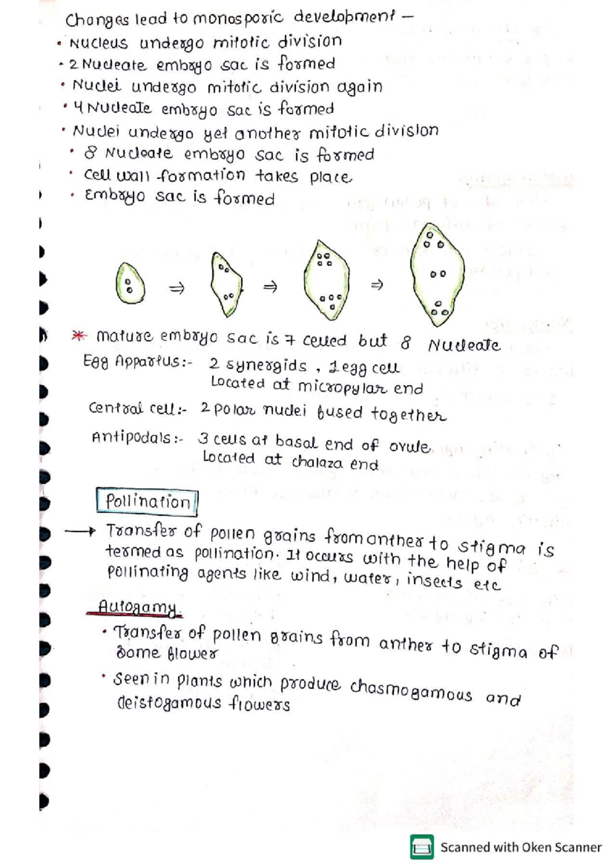 Jpg2pdf (36) - Plant reproductive system notes. biology notes and ...