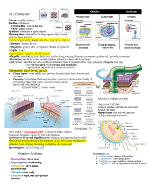 Ch4 Outline - Chapter 4 - Bacteria and Archaea 4 The Bacteria Graphic depicts the structures in ...