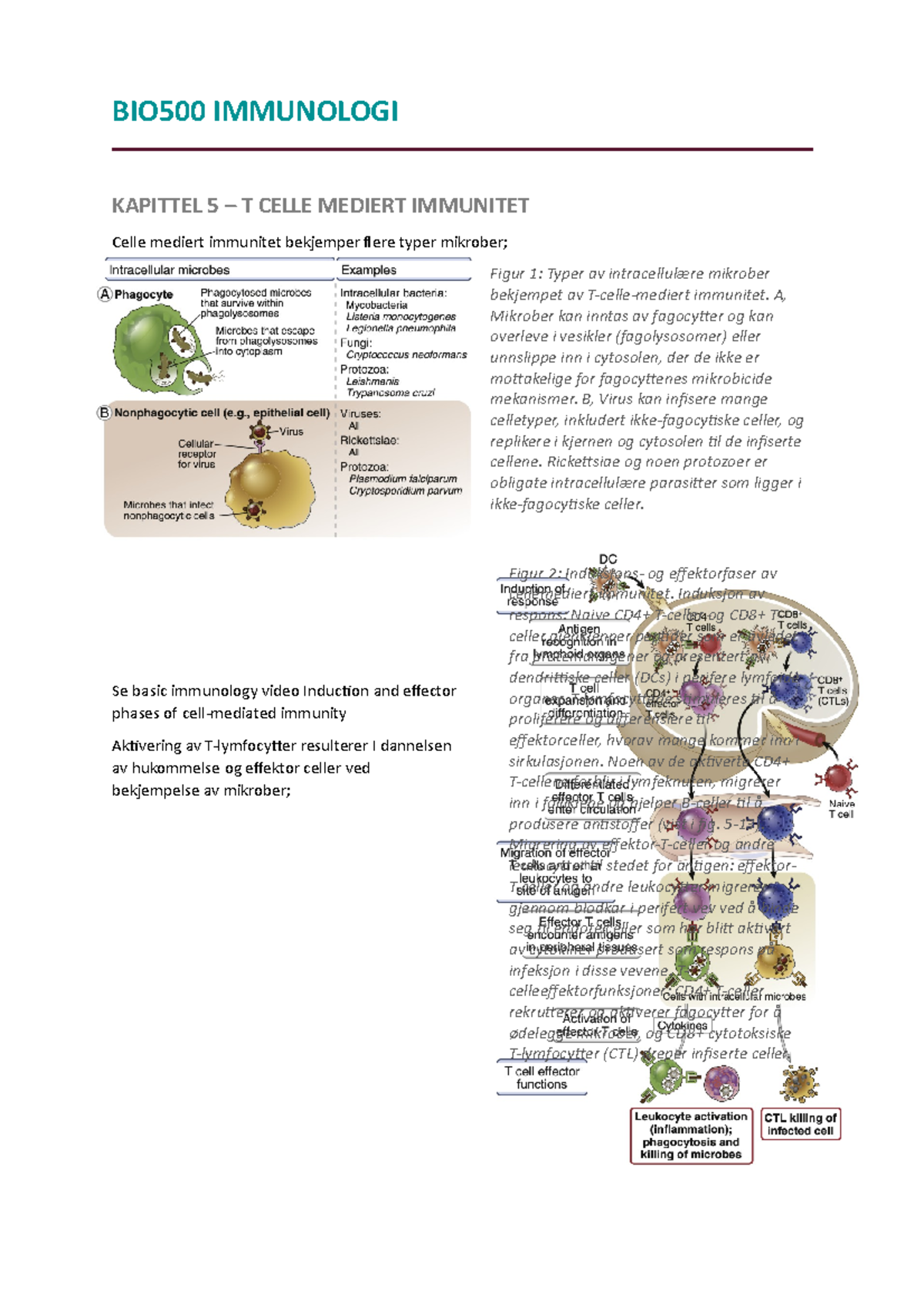 BIO500 KAP 5 - T celle mediert immunitet - BIO500 IMMUNOLOGI KAPITTEL 5 ...