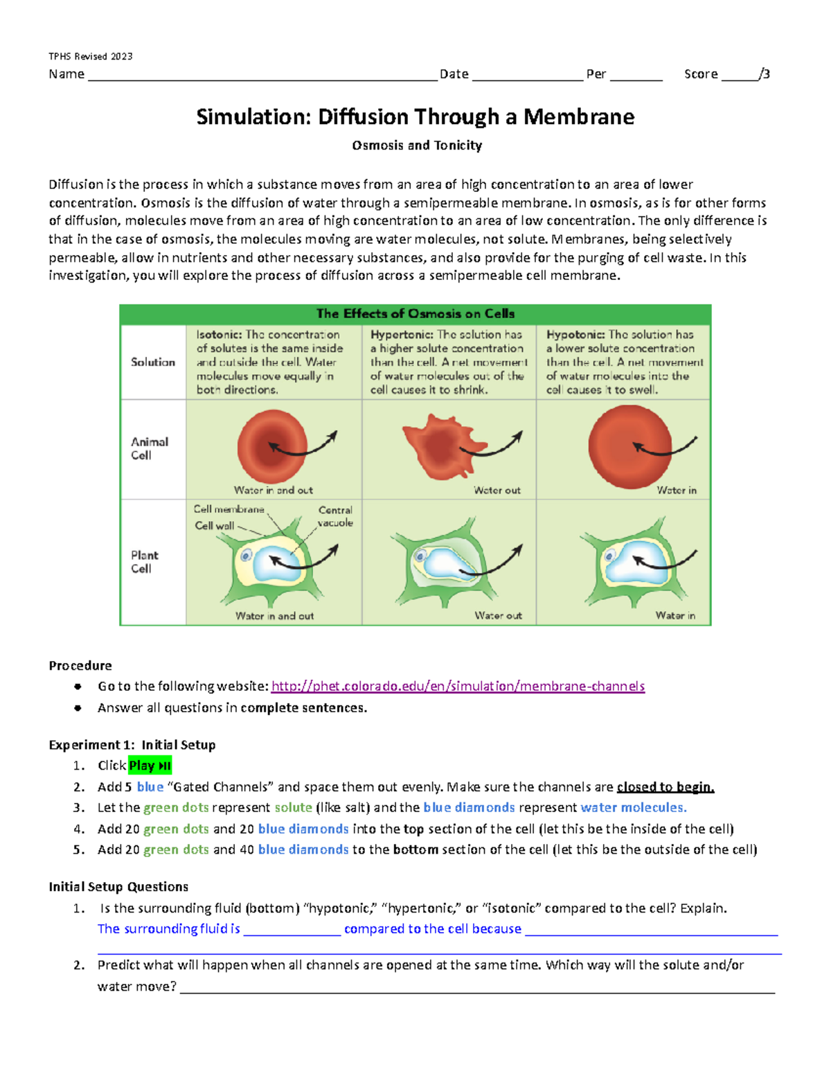 Simulation Diffusion Through a Membrane (Revised 2023) - TPHS Revised ...