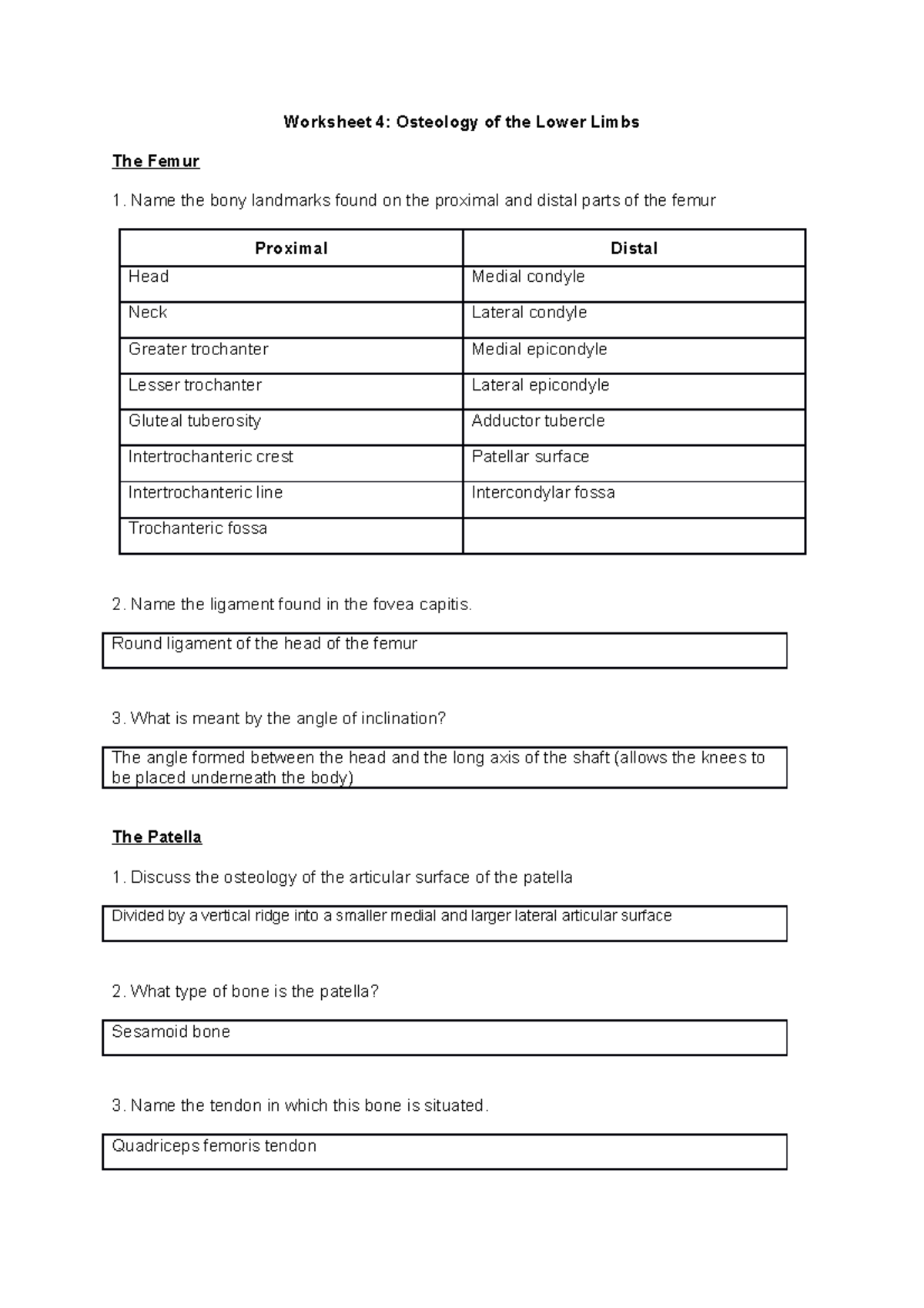 RAN 100 ASSIGNMENT: OESTEOLOGY OF THE LOWER LIMB-WORKSHEET 4 ...