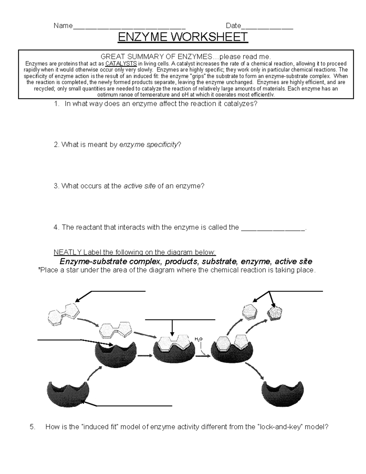 Enzyme Worksheet - Name____________________________ Date ...