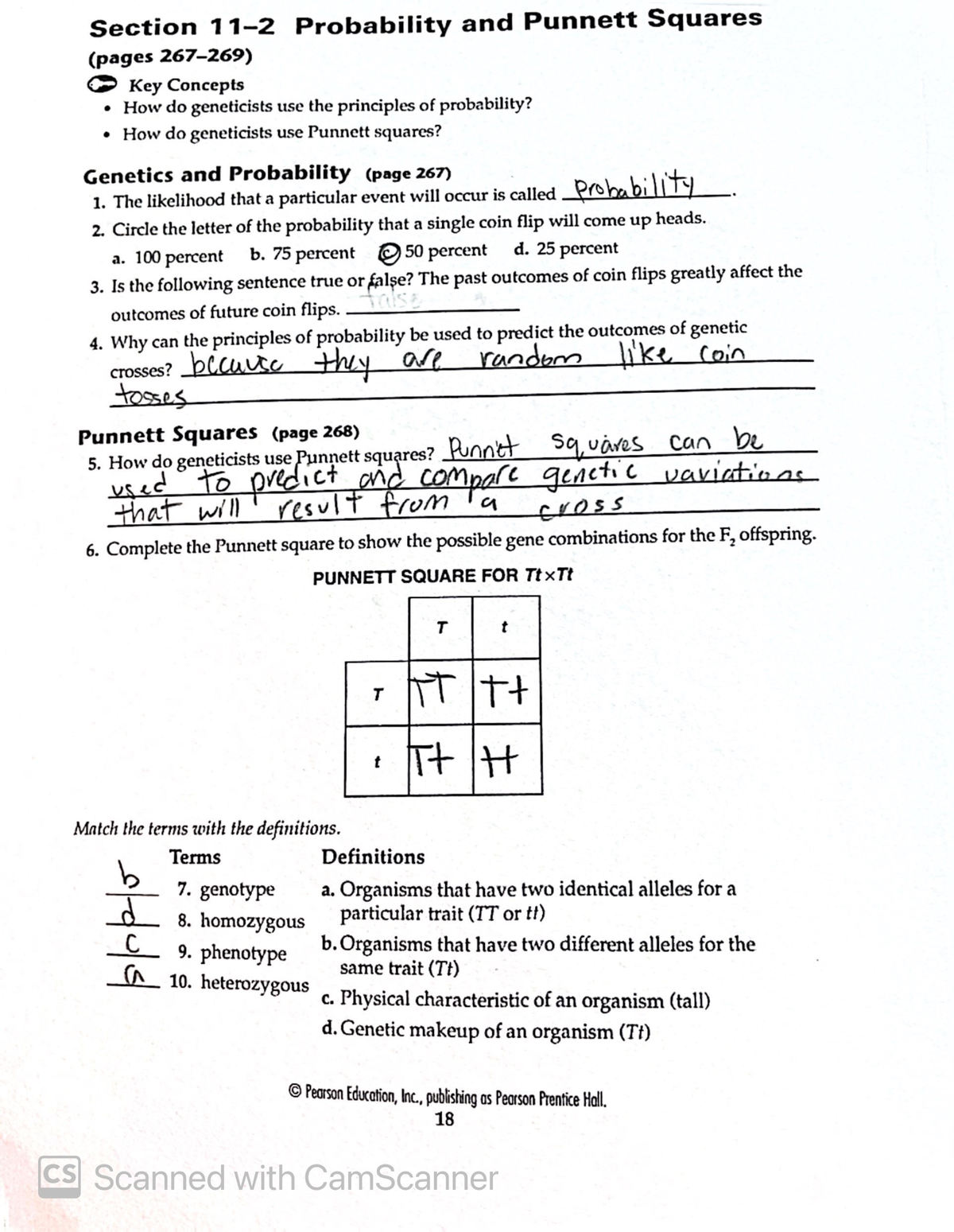 Section 11-2 Probability and Punnet Squares WKST - Studocu