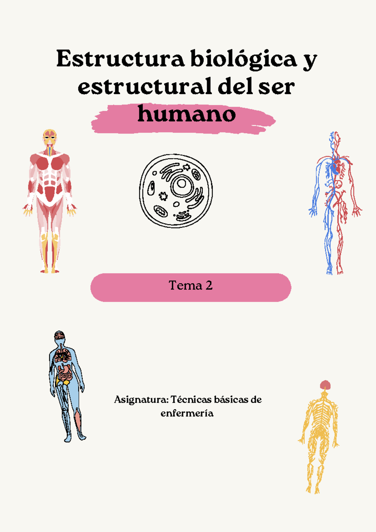 Estructura biológica y estructural del ser humano 20240925 142642 0000 ...