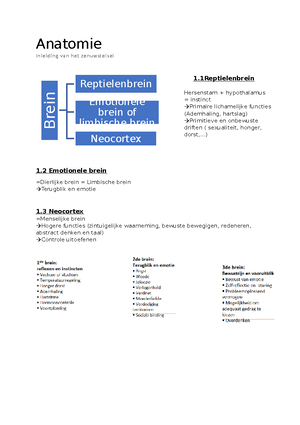 H5 - diëncephalon, hersenstam, cerebellum - Diencephalon ...