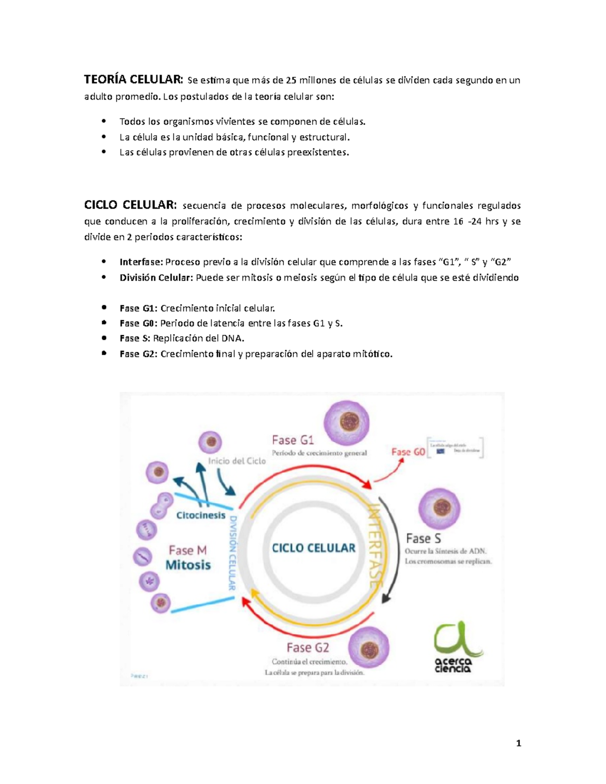 Capitulo 3 Ciclo Celular - TEORÍA CELULAR: Se estima que más de 25 ...