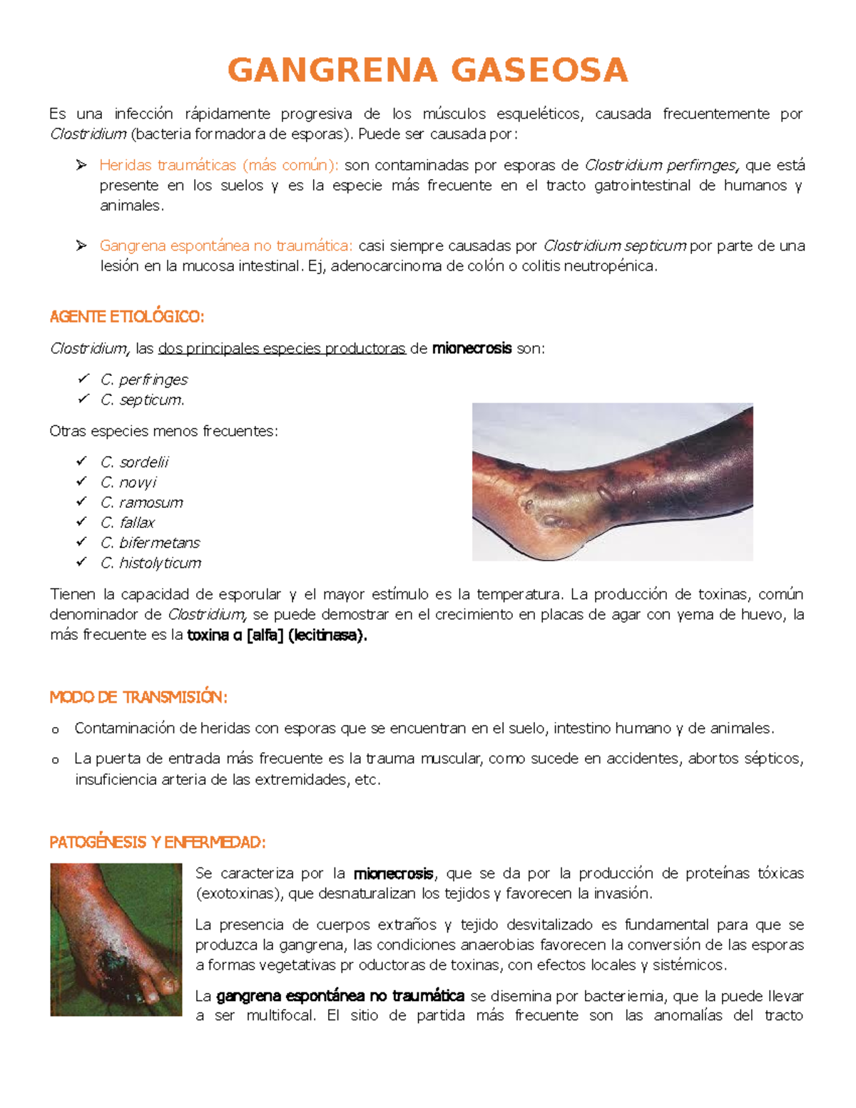 CAP 11. Gangrena Gaseosa - GANGRENA GASEOSA Es una infección ...