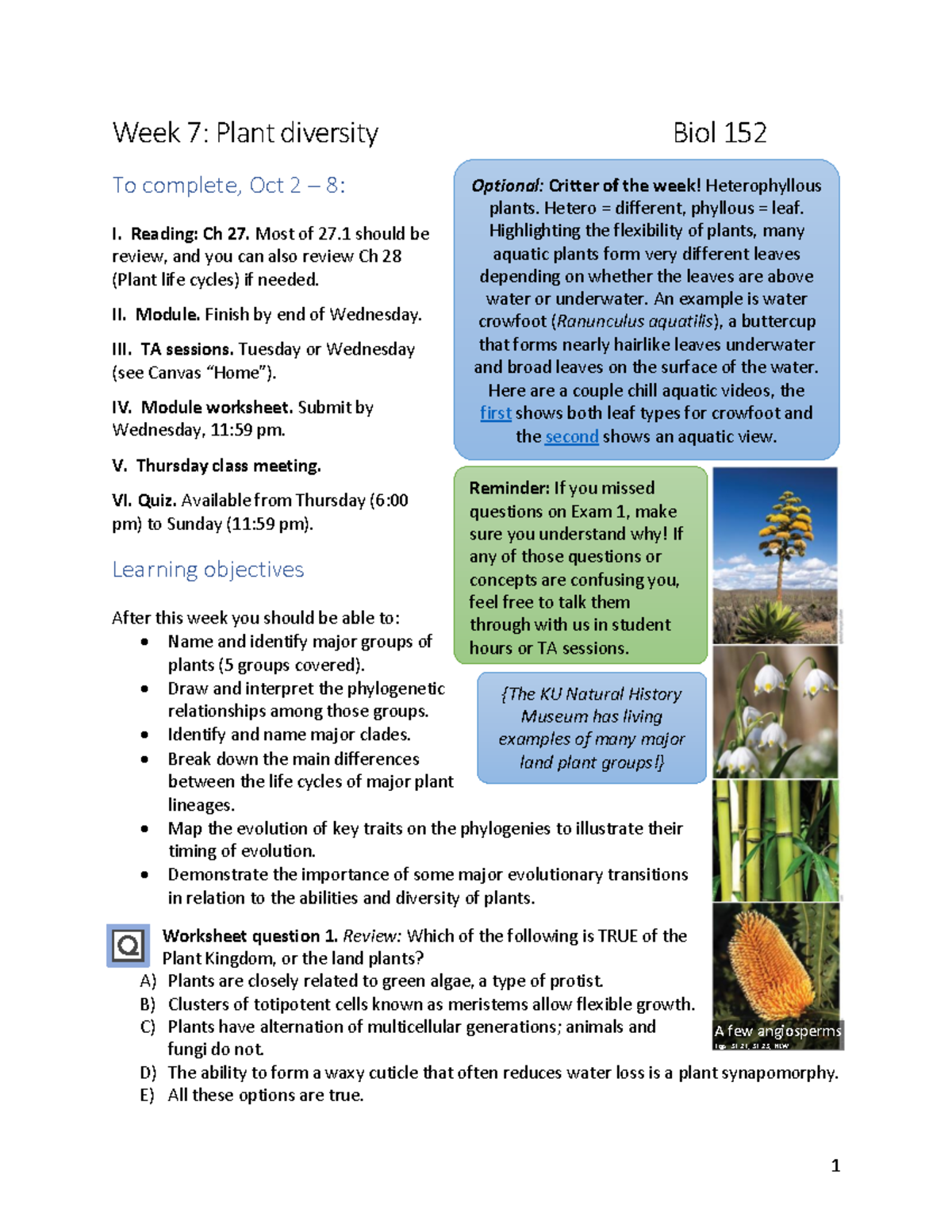 7-Module-Pt Diversity 20230927 - Week 7 : Plant diversity Biol 152 To ...