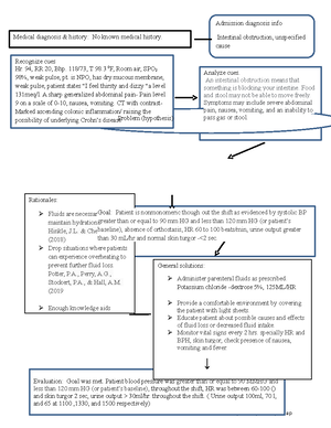 - WEEK 3, weekly priority care plan concept map week three - RNSG 2560 ...