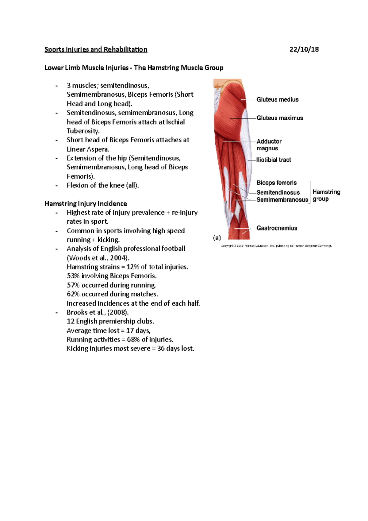 Lower Limb Muscle Strains - Sports Injuries and Rehabilitation 22/10 ...