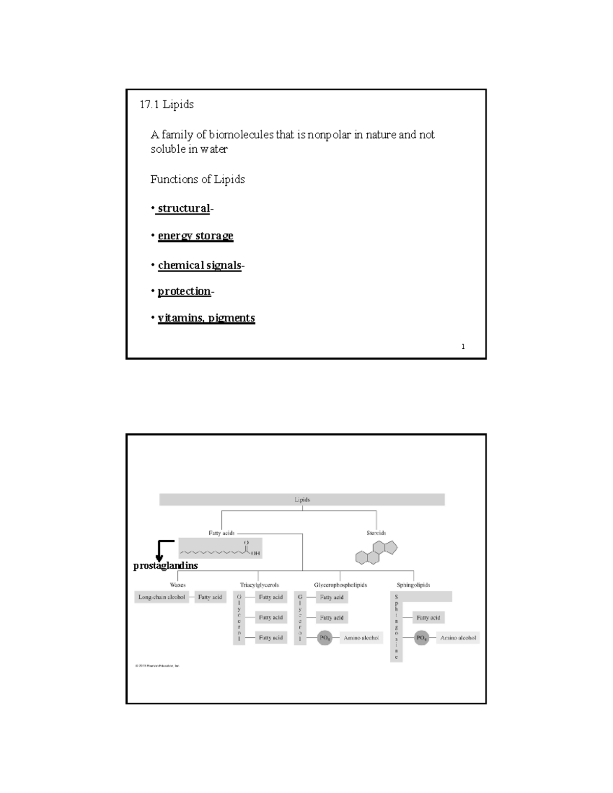Chapter 17 Lipids - Dr.Kerhs - 1 Functions of Lipids structural- energy ...