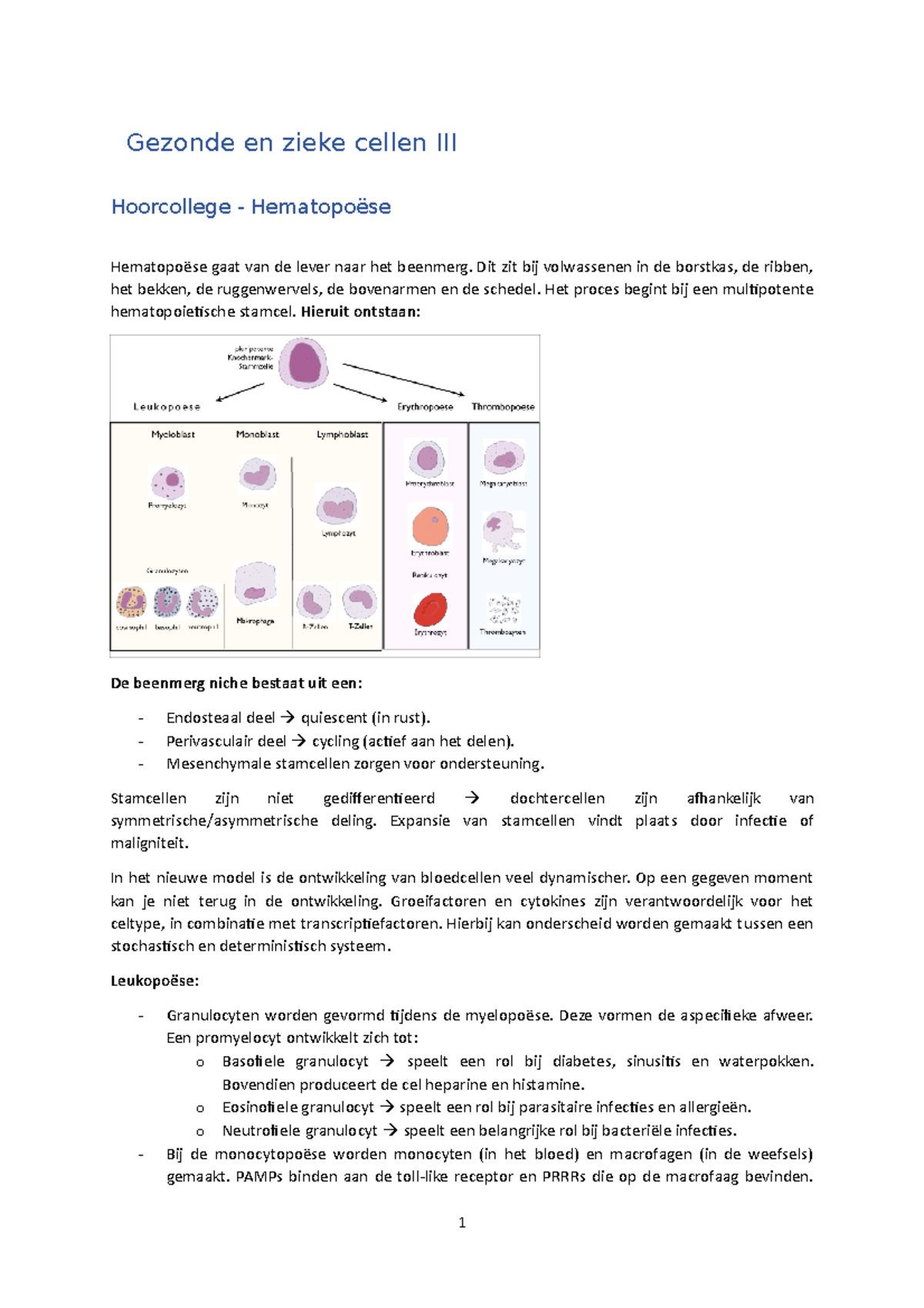 Samenvatting - Gezonde en zieke cellen III Hoorcollege - Hematopoëse ...