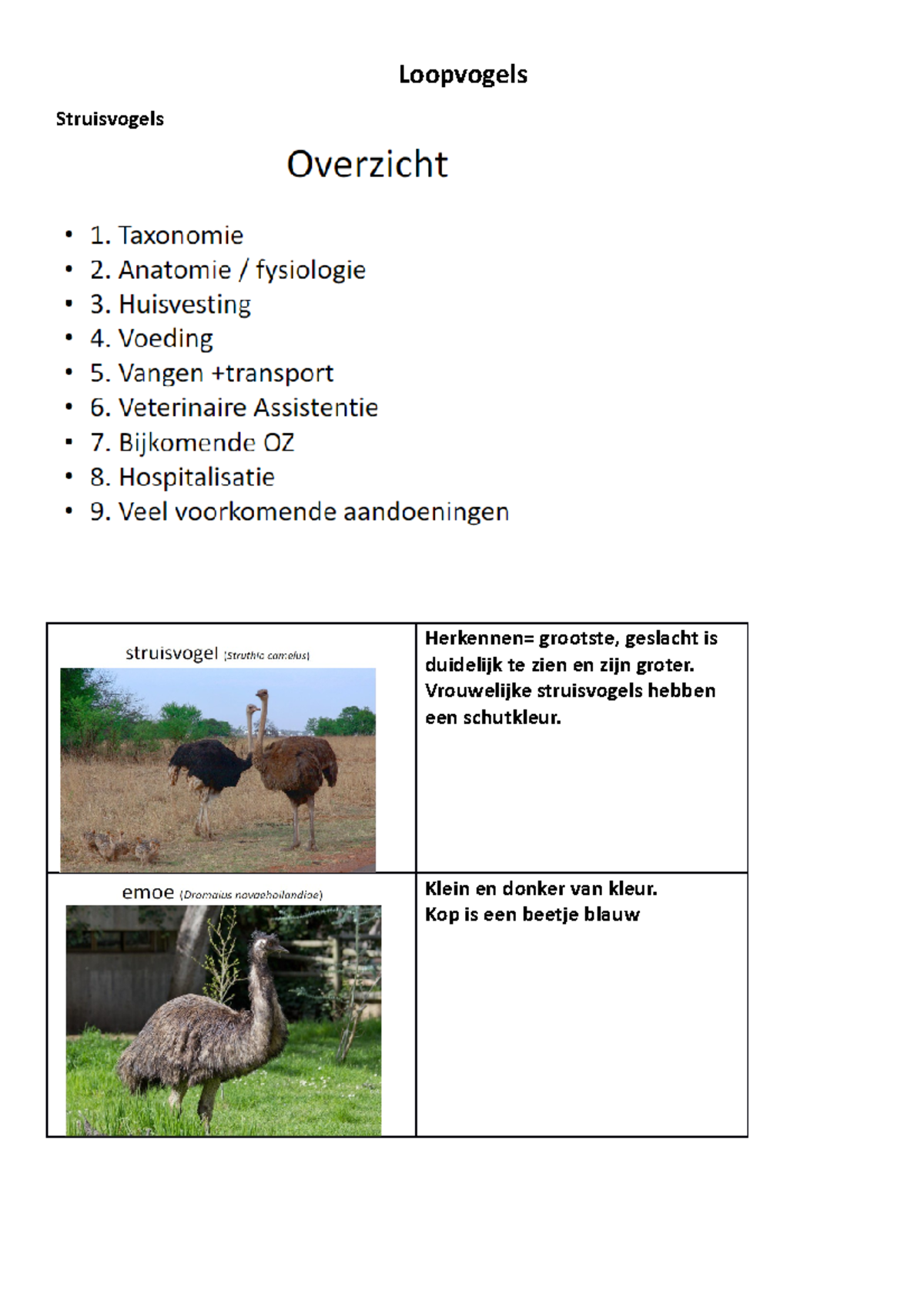 Loopvogels - Loopvogels Struisvogels Herkennen= grootste, geslacht is ...