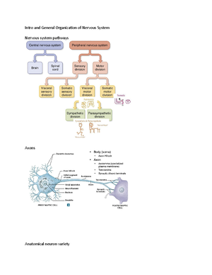 Homeostasis, Gradients, Flow - Homeostasis, Gradients, and Flow ...
