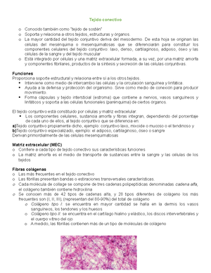Linaje Hematopoyético - Basófilo Basófilo estable Mielocito eosinófilo ...