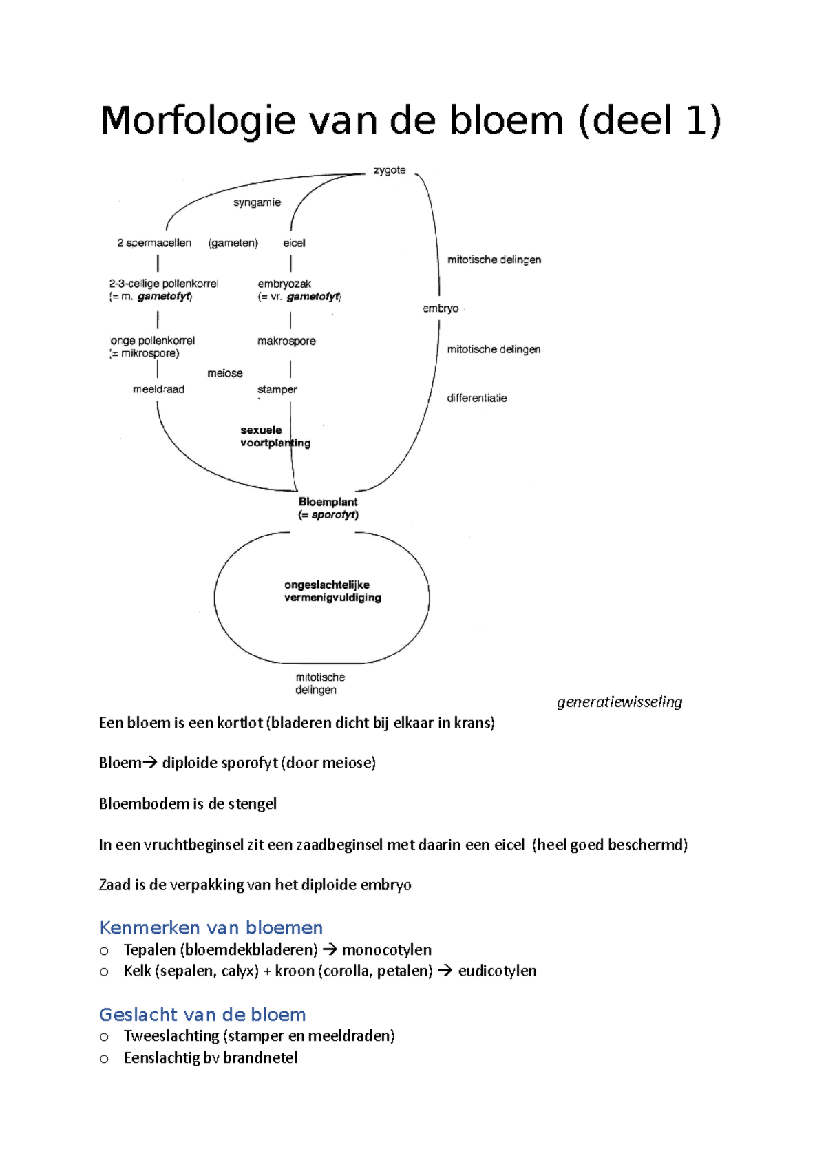 Morfologie van de bloem - .. Vruchtbeginsel en bloedbodem ...